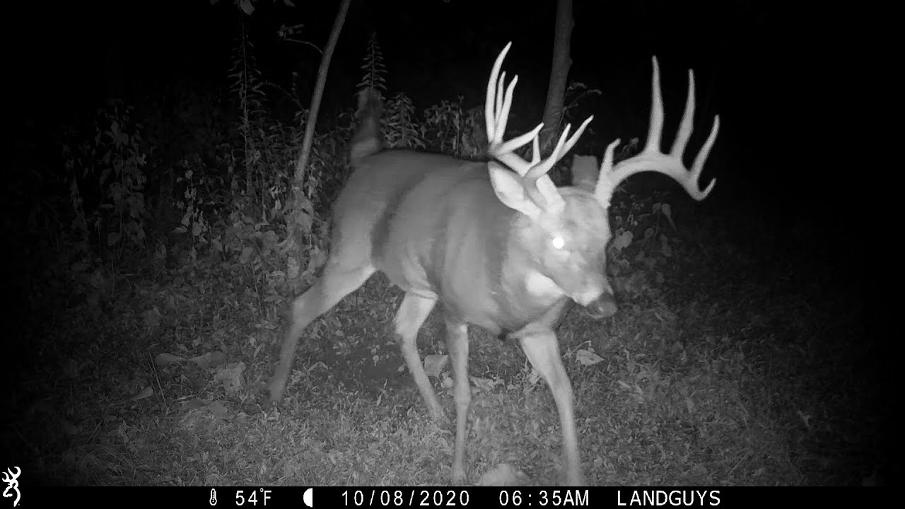 Quality Bucks And Wildlife On The Mercer County, IL 155 Acre Farm For ...