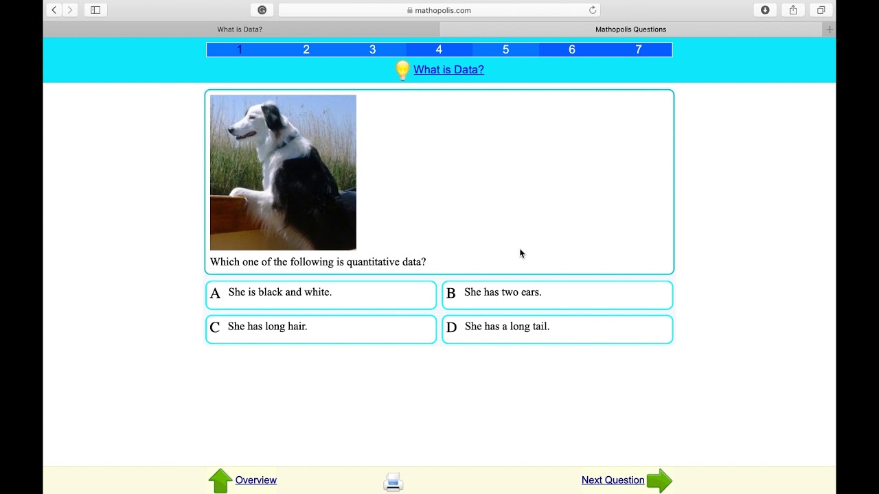 Year 6 |ICT| Handling data : What is data ? - YouTube