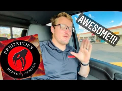 PREDATORS REPTILE CENTER IN ARIZONA *INSANE REPTILES* - YouTube