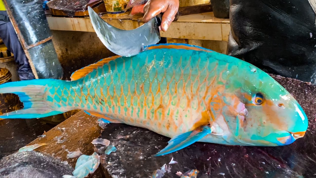 HOW TO SLICING A RARE FISH || very rare fish cutting & slicing in ...
