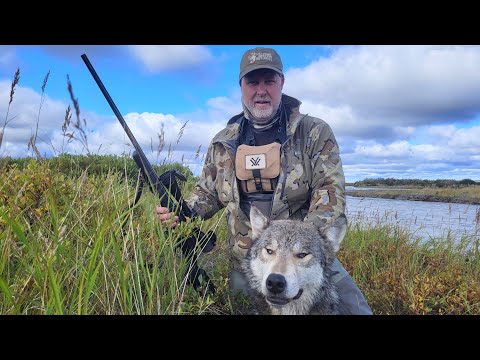2024 Moose & Wolf Hunt - a 60 mile float trip in the Alaskan Wilderness