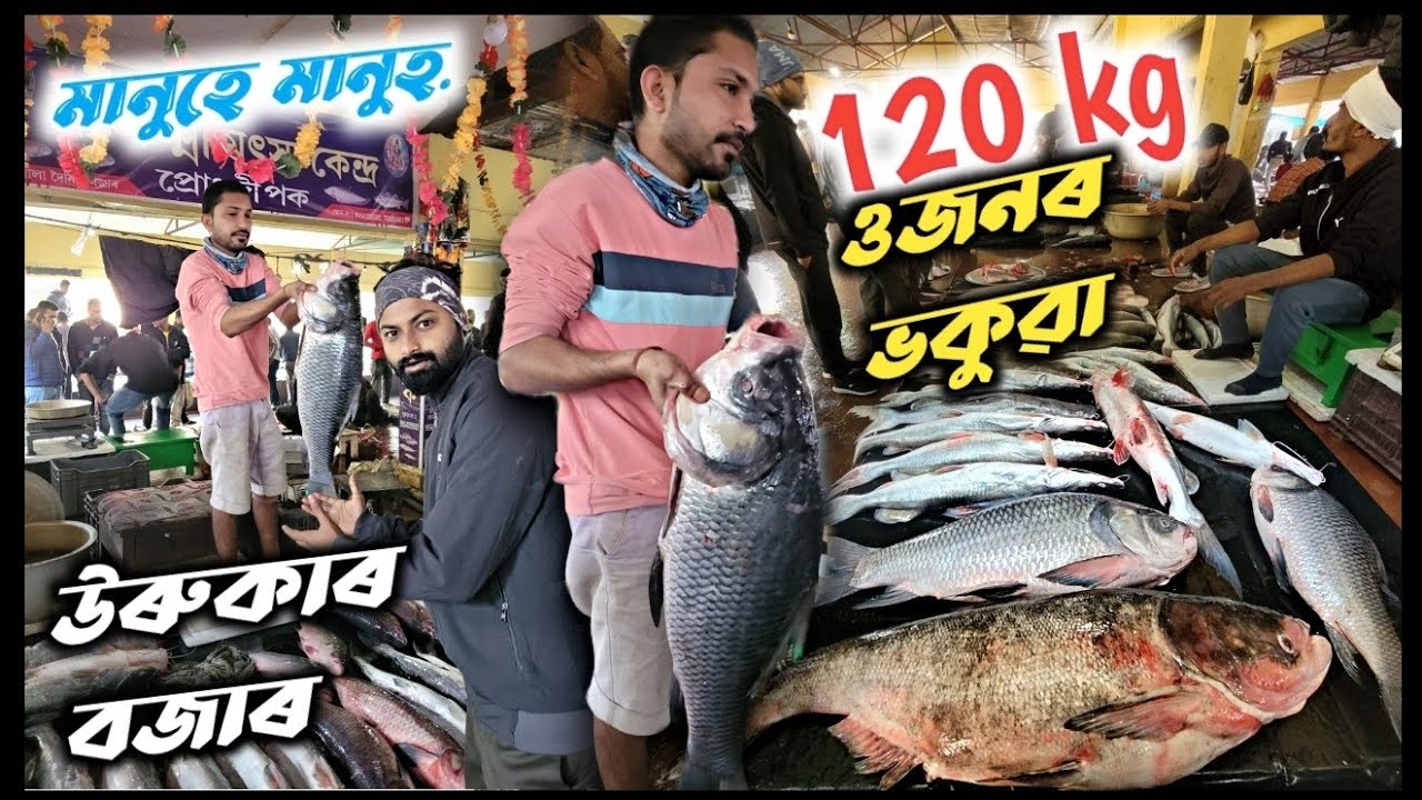 120Kg.ওজনৰ মাছ||Pathsala ত মাছৰ বজাৰ||Uruka Fish Market||Assamese Vlog ...