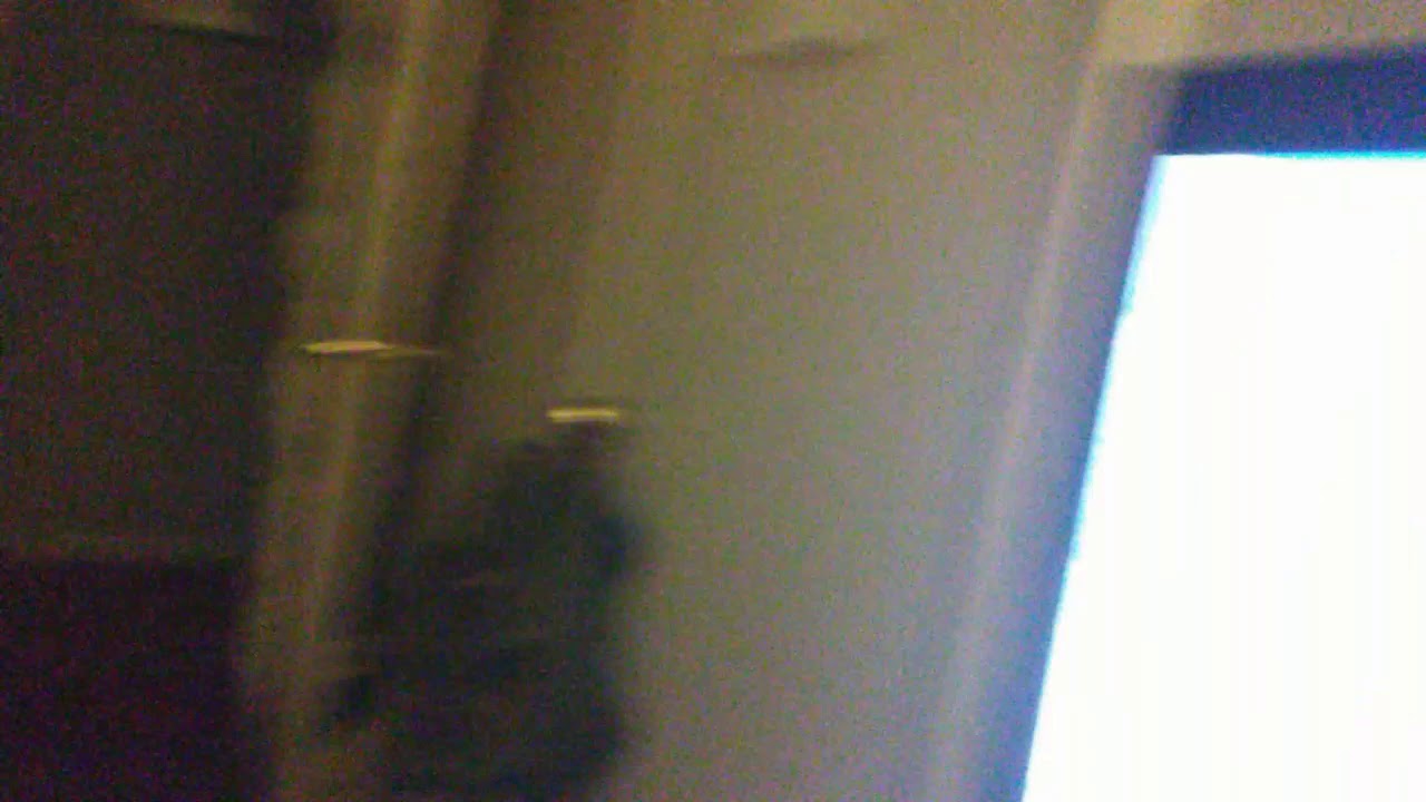 Mickey and the wonder pets save the nutcracker - YouTube