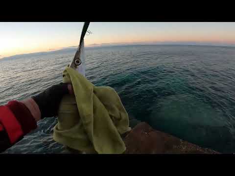 BARAKÜDA..AKSİYONLAR SAHTELER BU VİDEODA.BALIĞIN VURUŞ ANI.BARACUDA FISHING.LURE ACTİON LİVE STRIKE