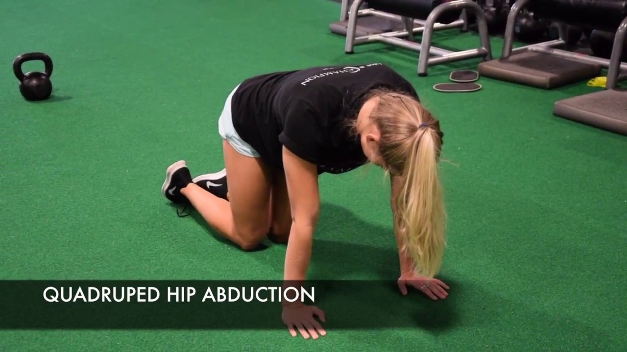 Quadruped Hip Abduction - YouTube