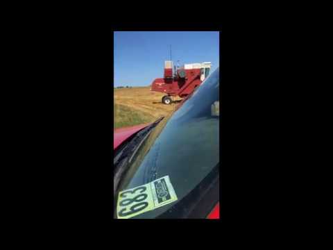 International 403 Combine - YouTube