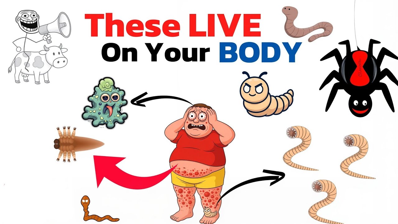Strange Animals That Live On The Human Body, Explained - YouTube