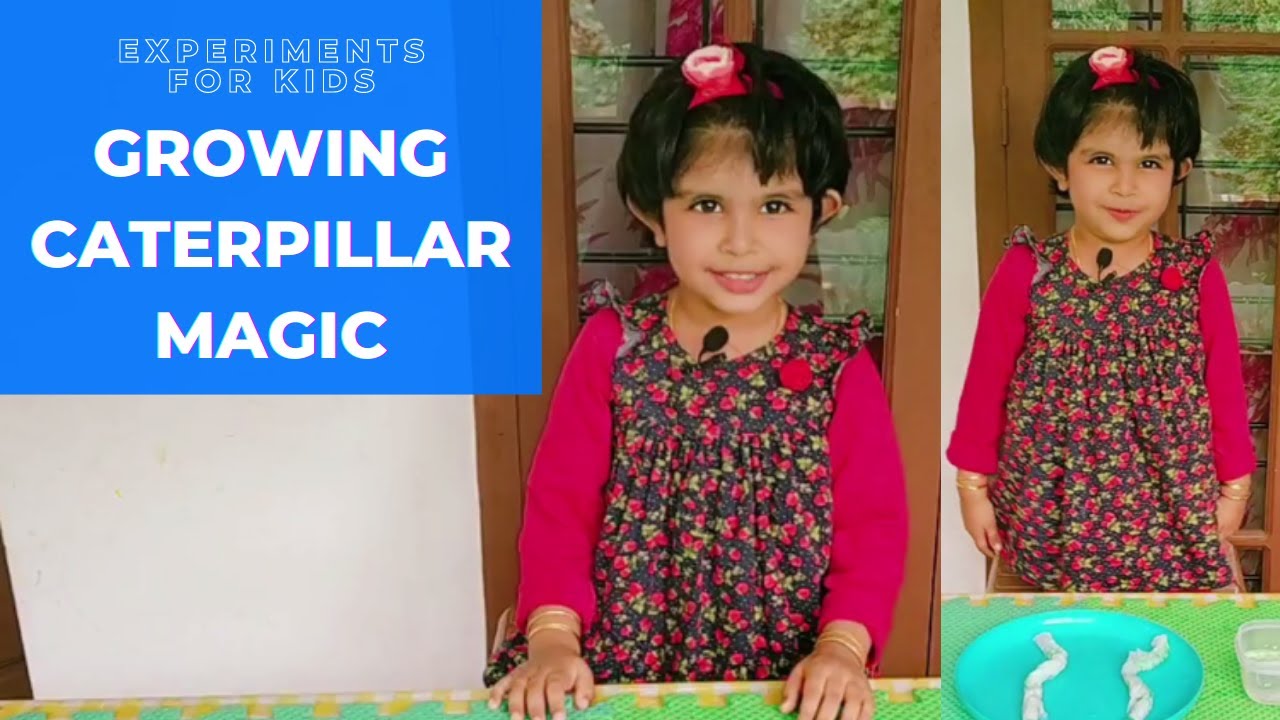 FEED THE CATERPILLAR MAGIC | Fun activity to do at home for kids | kids ...