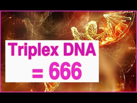 275 - Triplex DNA = 666 - YouTube