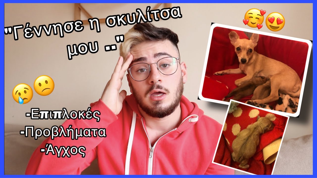 ΓΕΝΝΗΣΕ ΤΟ ΣΚΥΛΑΚΙ ΜΟΥ | theosblue - YouTube