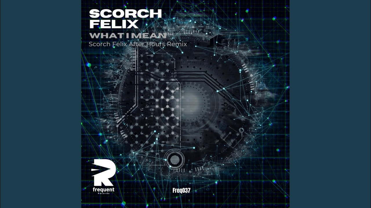 What I Mean (Scorch Felix Remix) - YouTube