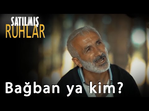 Bağban ya kim? (Satılmış Ruhlar)
