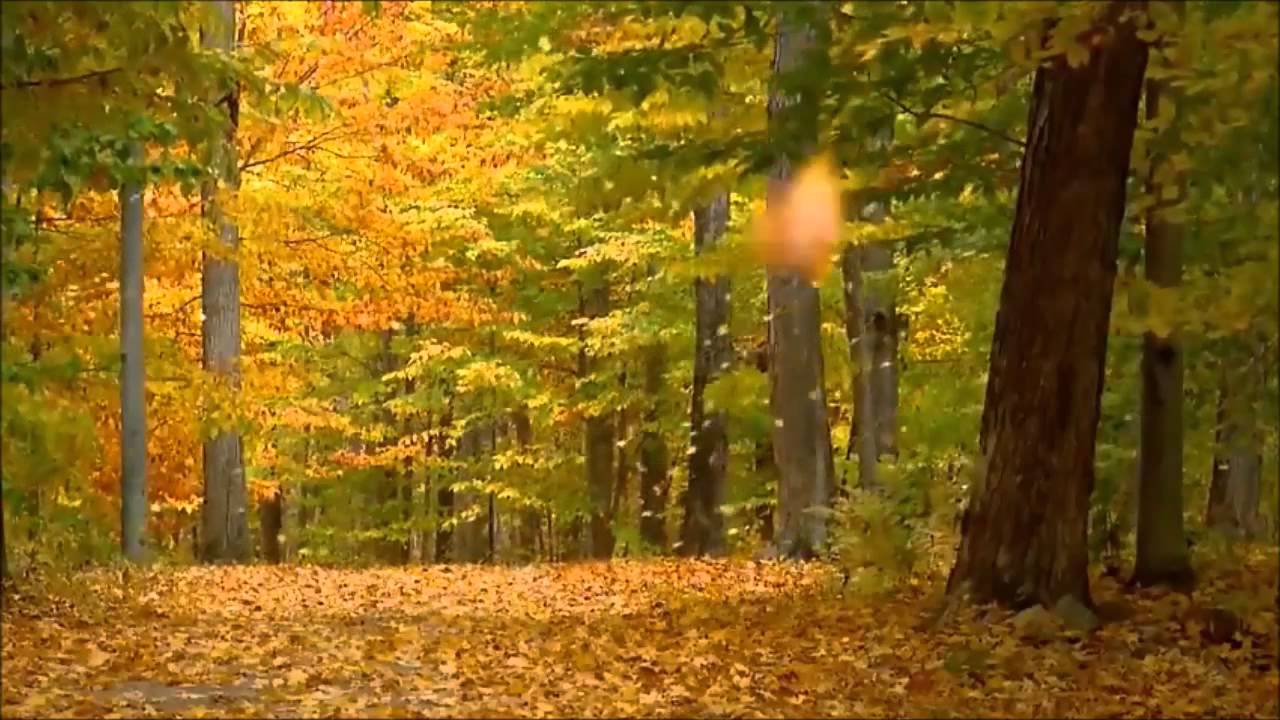 Jesen prihaja - YouTube