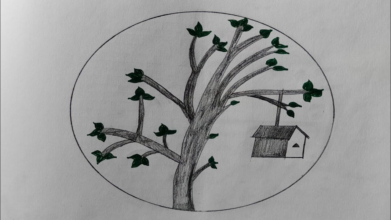 How to Draw Bird House | How to Draw Easy Birds House || - YouTube