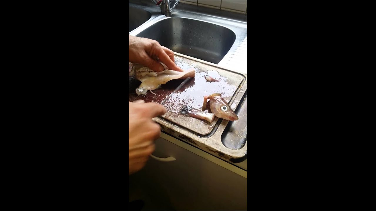 Comment faire un filet de merlan - YouTube