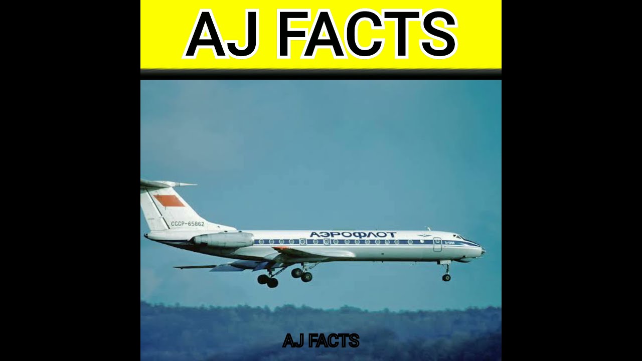 Amzing Facts Most Interesting Facts In Hindi shorts facts YouTube amzing-facts-most-interesting-facts-in-hindi-shorts-facts-youtube