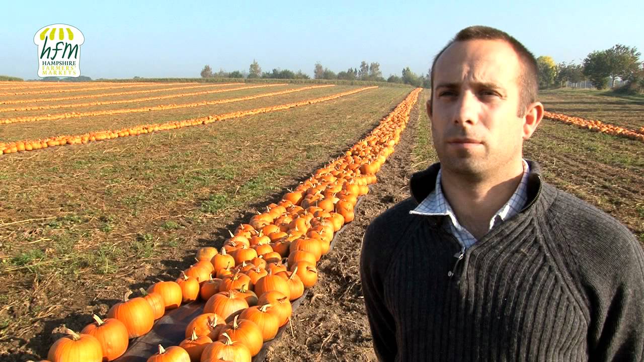 Hampshire Pumpkins from Lyburn Farm - Landford - YouTube