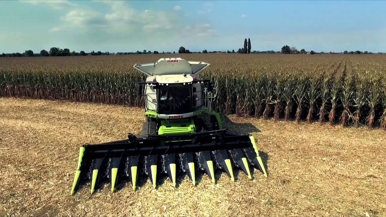 Olimac DRAGO GT - eng - YouTube