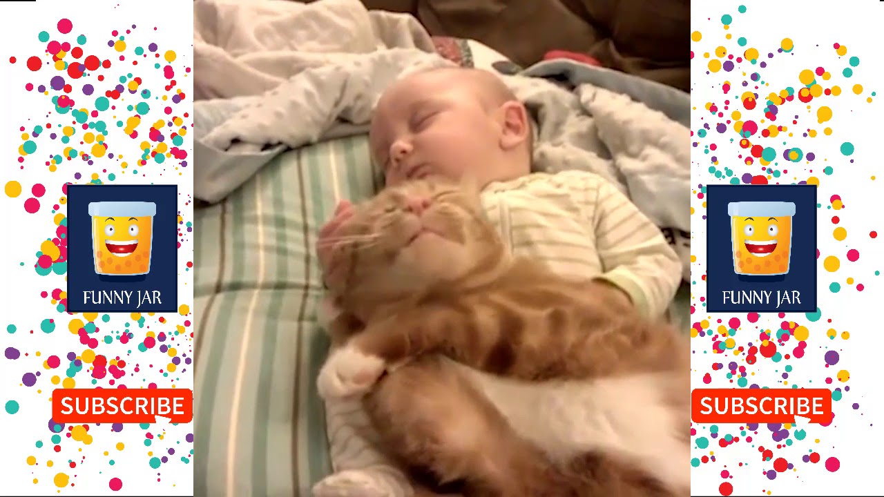 Funny Cats and Babies Compilation | Try Not To Laugh Challenge - YouTube