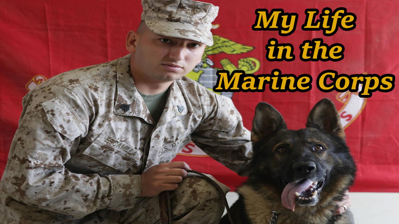 Life in the Marine Corps: Serving the United States - YouTube