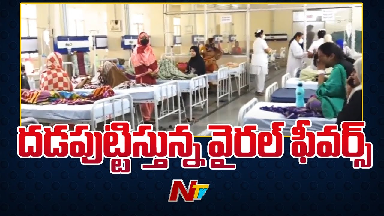 New Viral Infection Cases In Hyderabad | Special Report | Ntv - YouTube