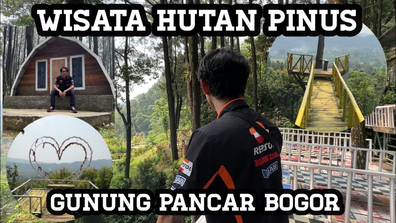 Wisata Alam Hutan Pinus Gunung Pancar Sentul Bogor - YouTube