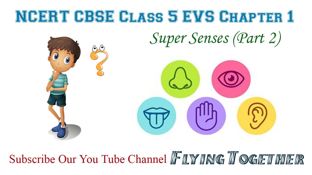 Super Senses Hindi Explanation NCERT CBSE Class 5 EVS super-senses-hindi-explanation-ncert-cbse-class-5-evs