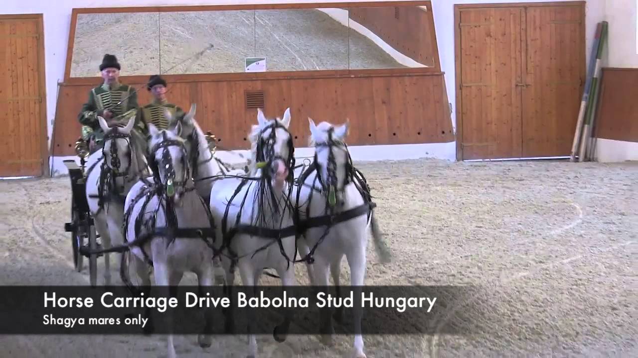 Bábolna National Stud - YouTube