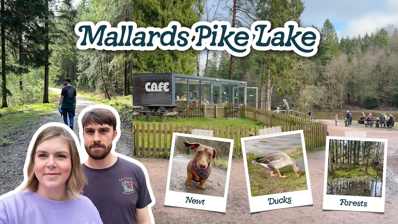 Mallards Pike Lake, Forest of Dean walks | Forest of Dean trails ...