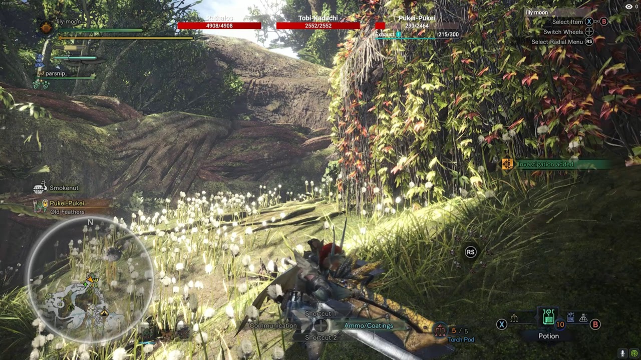 mhw with hp bars - YouTube