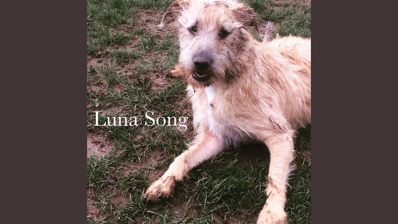 Luna Song - YouTube