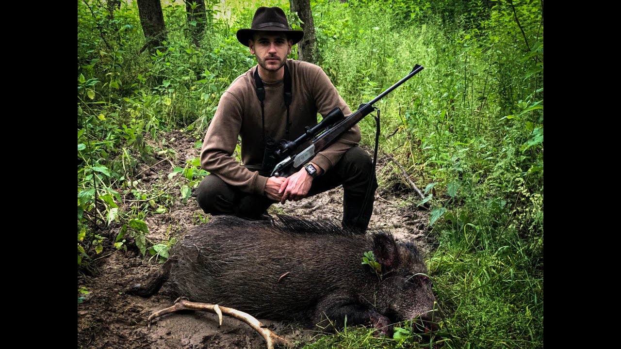 Vaddisznó vadászat, Június- Wildboar hunting, June - YouTube
