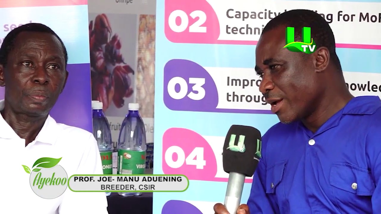 [TWI] Interview With Prof. Joe Manu-Aduening (Plant Breeder) - YouTube