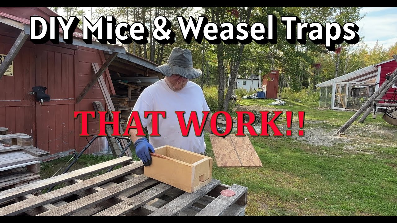 Building Traps that REALLY WORK | Life Off-Grid in Maine - YouTube