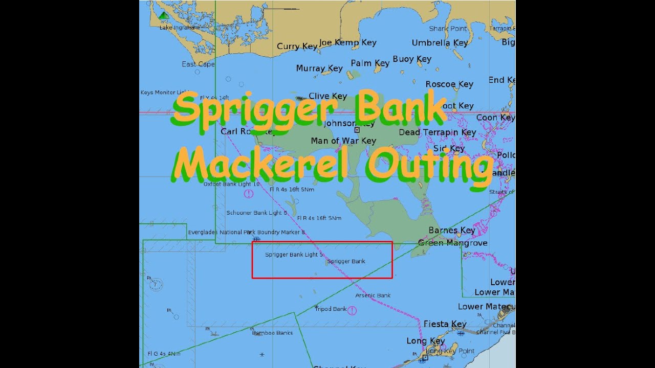 Sprigger Bank - YouTube