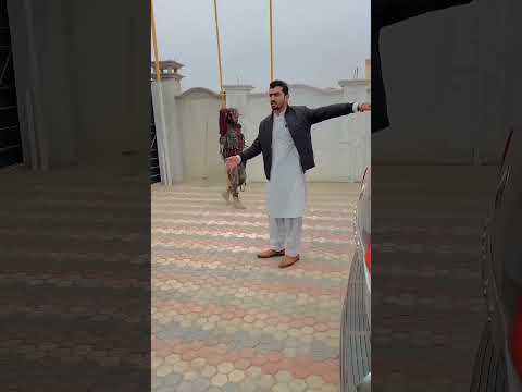 Gran Mashar HAJI Sadiq khan adozai