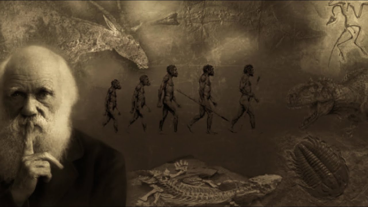 Charles Darwin: Evolutionary Theory and Beyond - YouTube