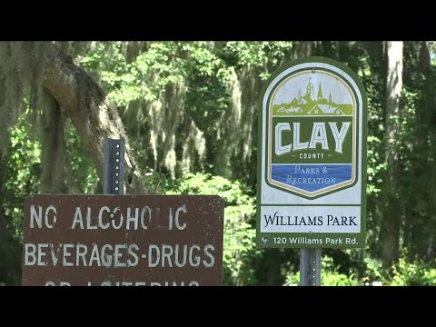 8-year-old girl attacked by dog at public park in Clay County, family says