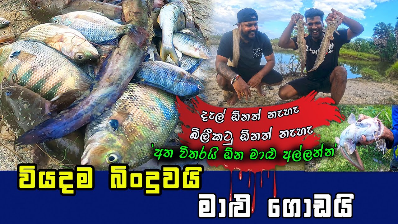 Sure, You Haven't Seen This Fishing Method Before I New Technique of ...