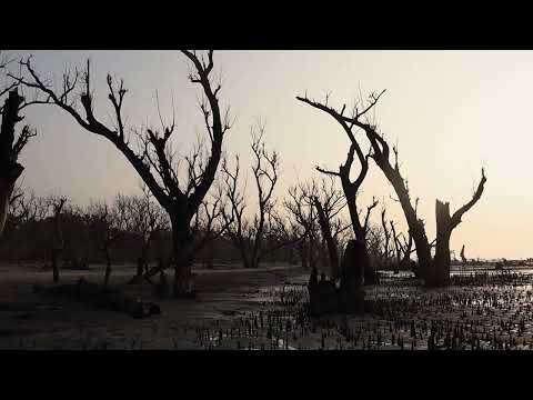 plead to god ( Shams Tabrizi ) by Living Things