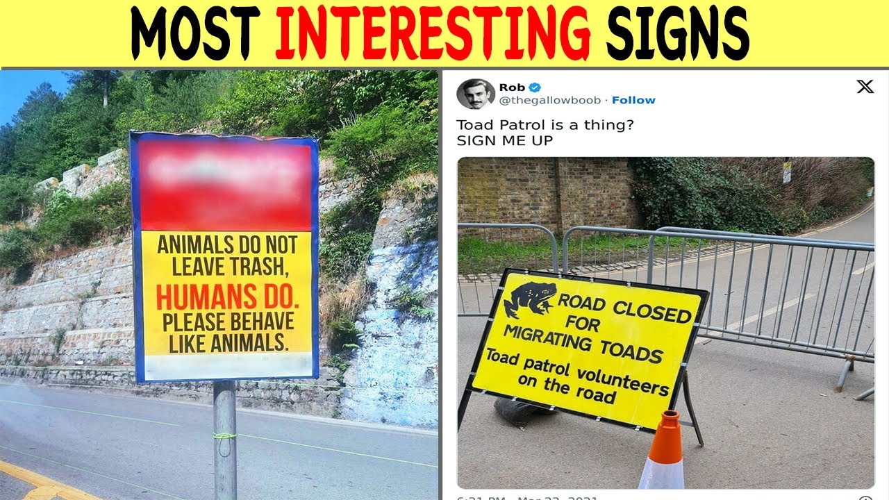 50 Clever and Funny Signs That Had to Be Photographed - YouTube