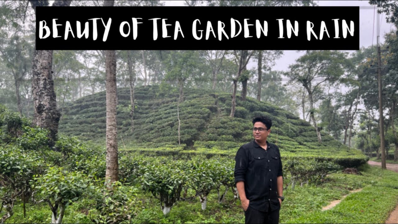 Finlay Tea Garden । Sreemangal । Sylhet Tour । Natural beauty of Finlay ...