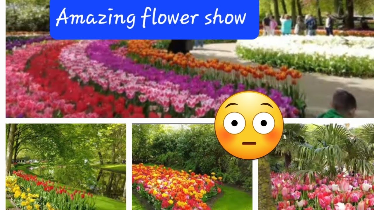 Beautiful flower show ️ #flowershow #creativeanshika - YouTube