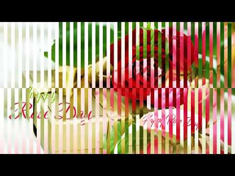 12 February 2021. Special Rose day whatsapp status video