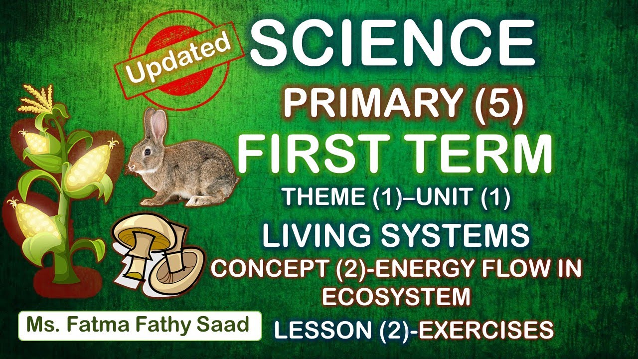 Science -Primary 5- first term- unit 1-Concept 2-Lesson 2- producers ...