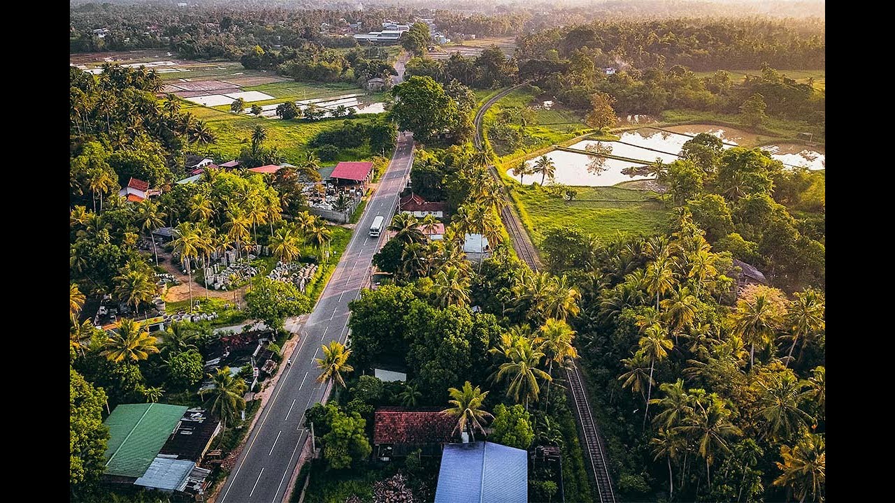 present simple tense - YouTube