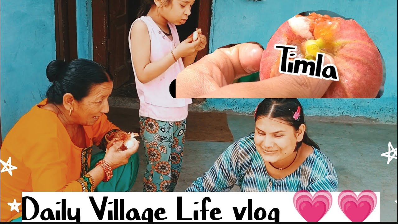 Daily Village Life style vlog || Timla pahadi fruit || #funny #fruit# ...