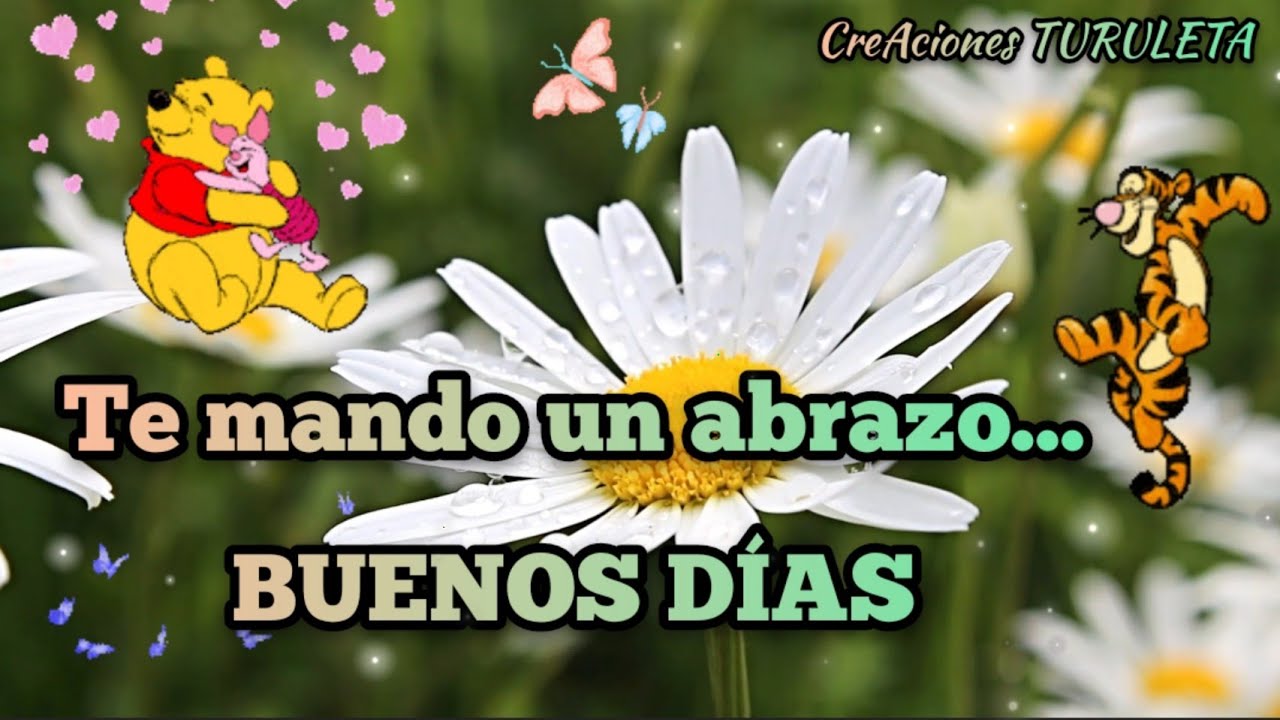🤗💖 TE MANDO UN ABRAZO 🌅🍀 BUENOS DÍAS 🌺🌸 - YouTube