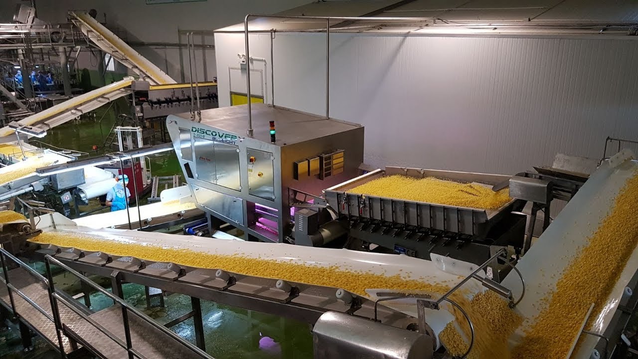 Discovery optical sorting machine for sweet corn kernels | Raytec ...