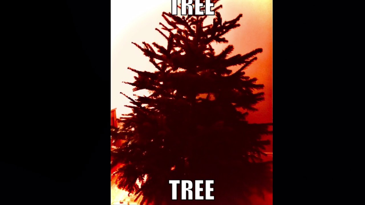 Tree meme (made by me) - YouTube